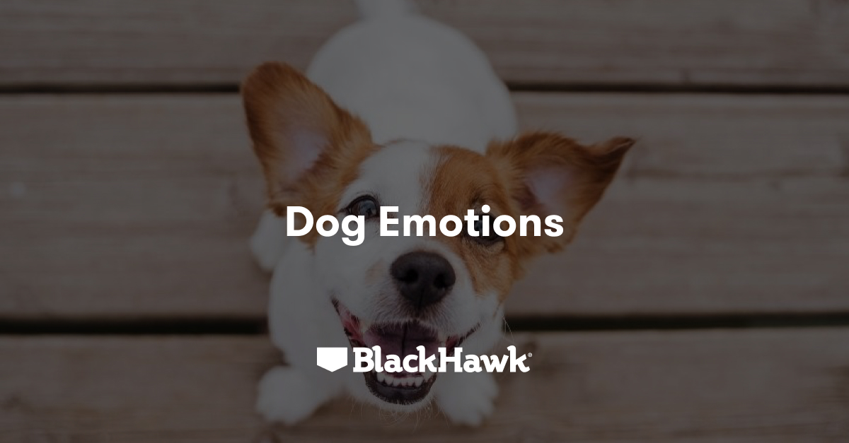 Dog Emotions | Black Hawk - Black Hawk